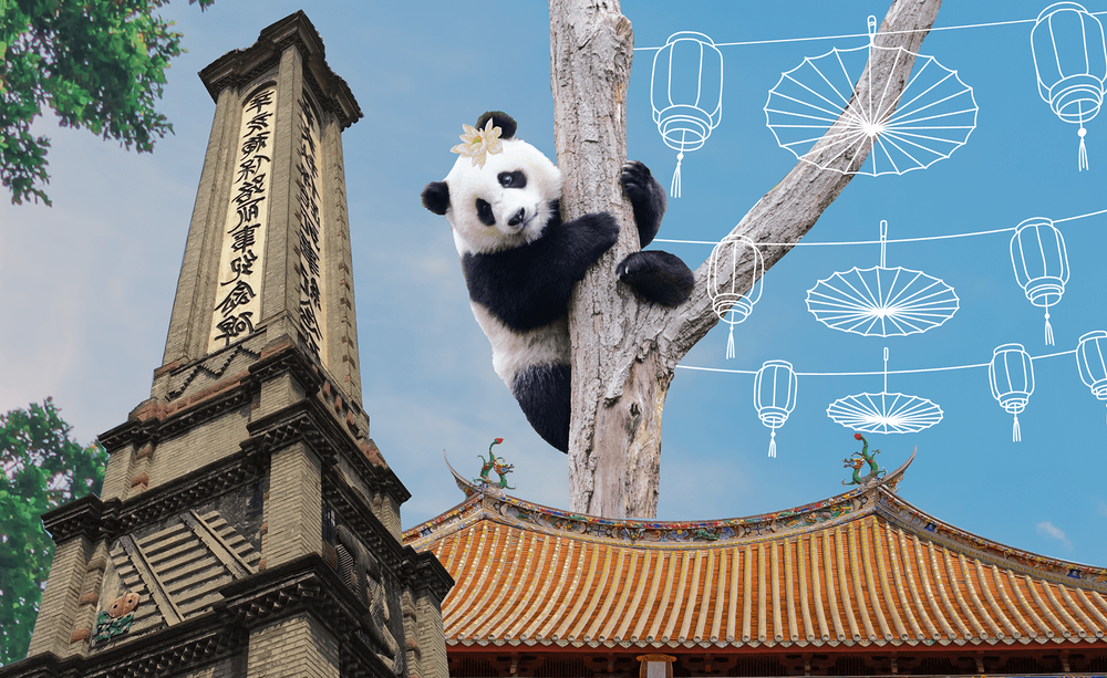 Пересадка в Чэнду: нужна ли виза, как выйти в город и что посмотреть за ...