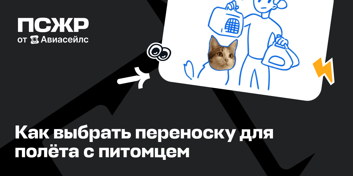 Как выбрать переноску для полёта с питомцем